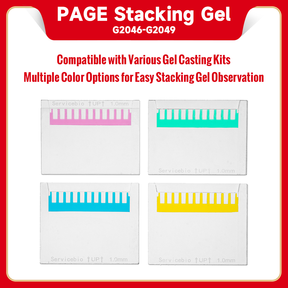 PAGE Stacking Gel Dye 500×