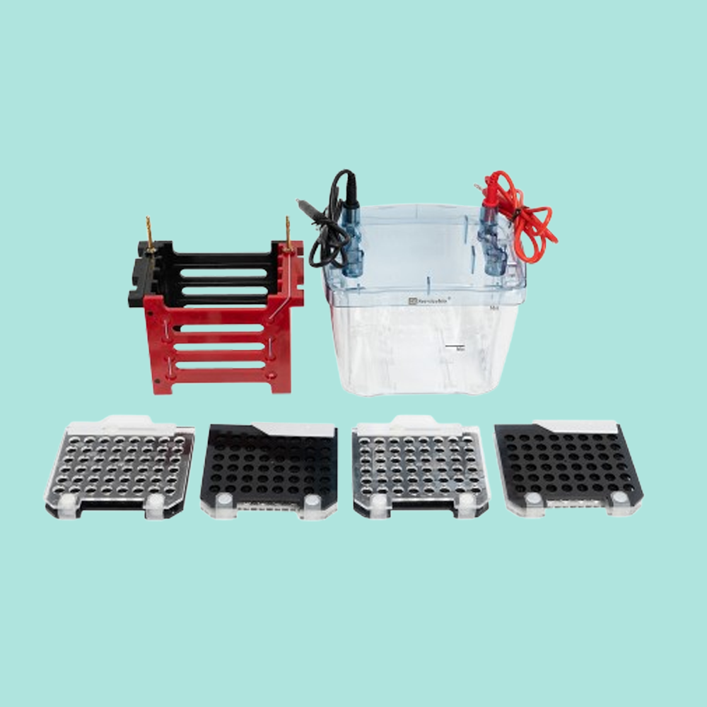 BVT-4 Transfer Electrophoresis System