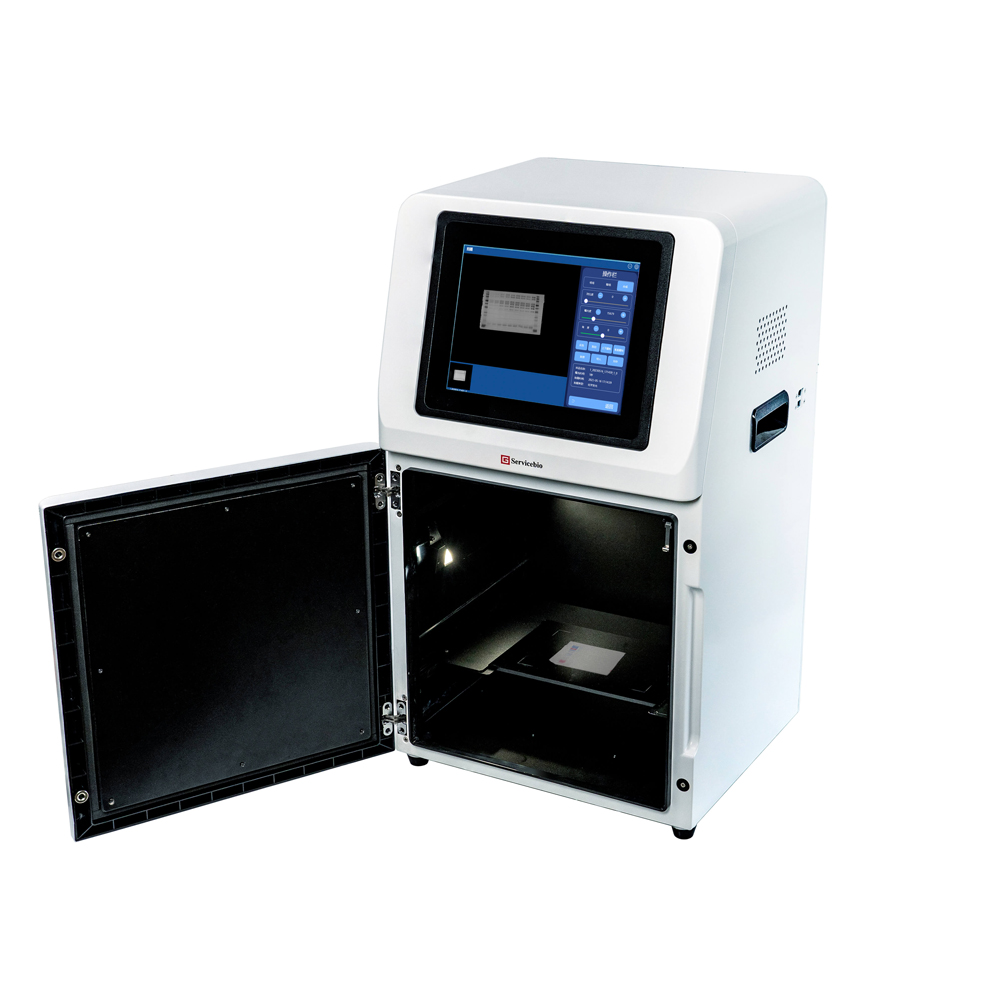 W5000 Chemiluminescence Imaging System