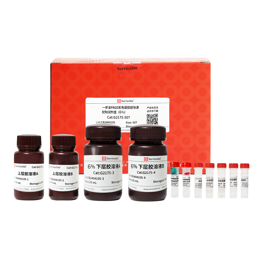 G2175~G2179 One-step Fastcast Colorful Acrylamide Kit（6%-15%)