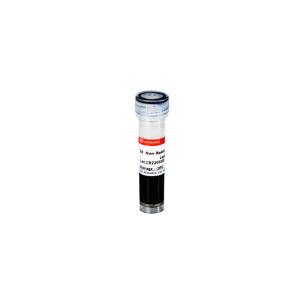 G2032-1ML 2 x SDS-PAGE Loading Buffer (Non-Reduced)x10
